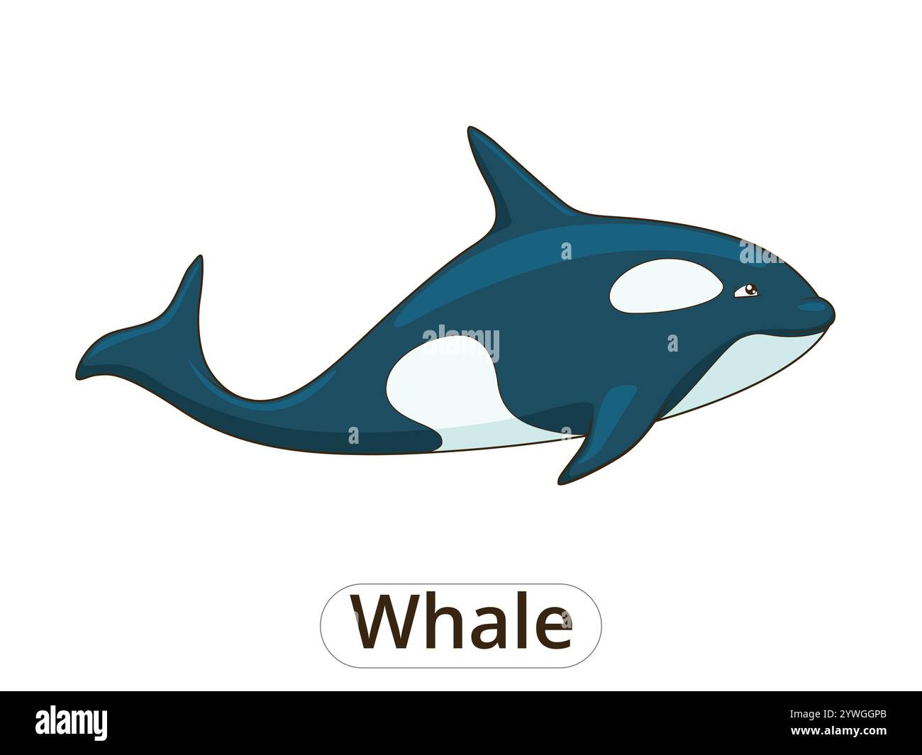 Orca cartoon Cut Out Stock Images & Pictures - Alamy