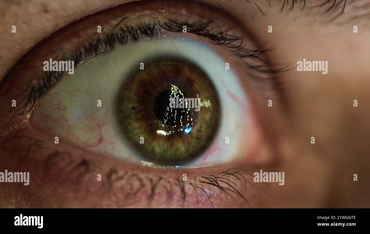 Christmas tree reflected into the eyeball Stock Photo - Alamy