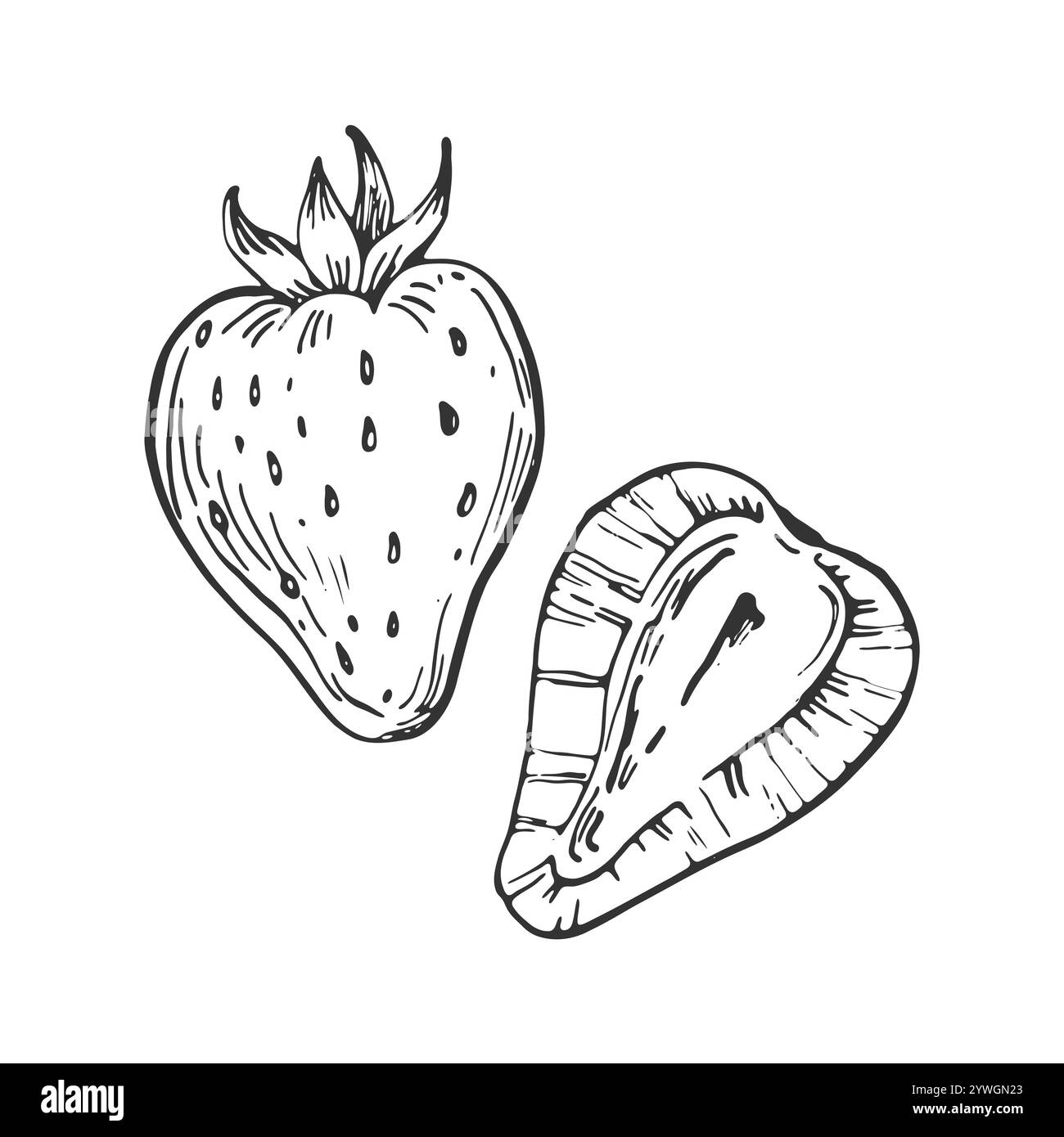 Strawberry vector black and white illustrations hand drawn with ink ...