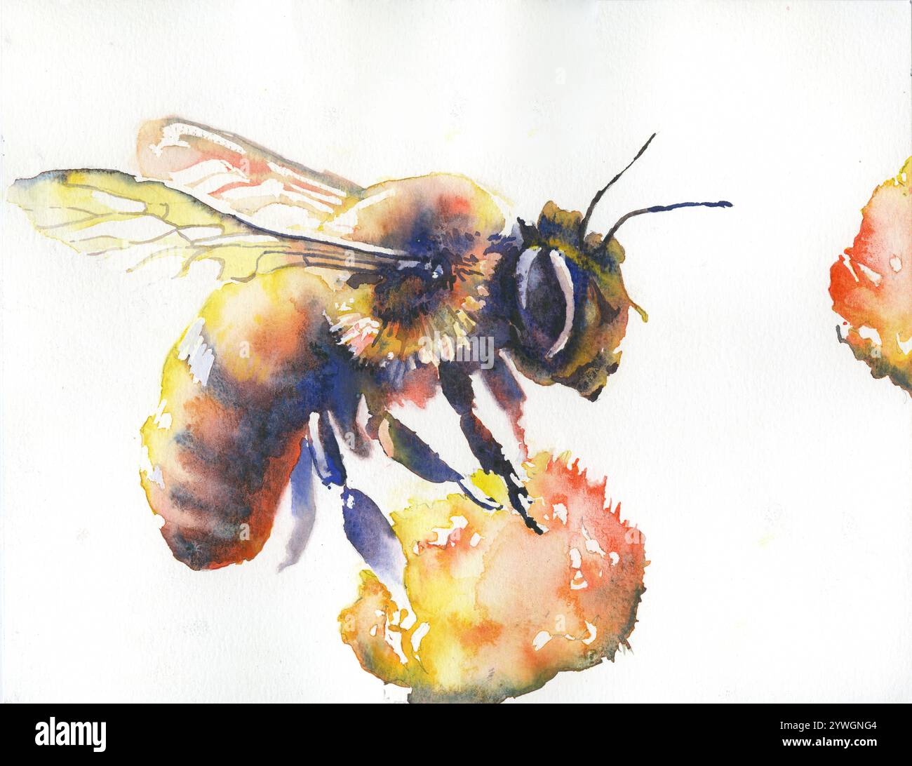 Colorful watercolor painting bee flower art for house interior design ...