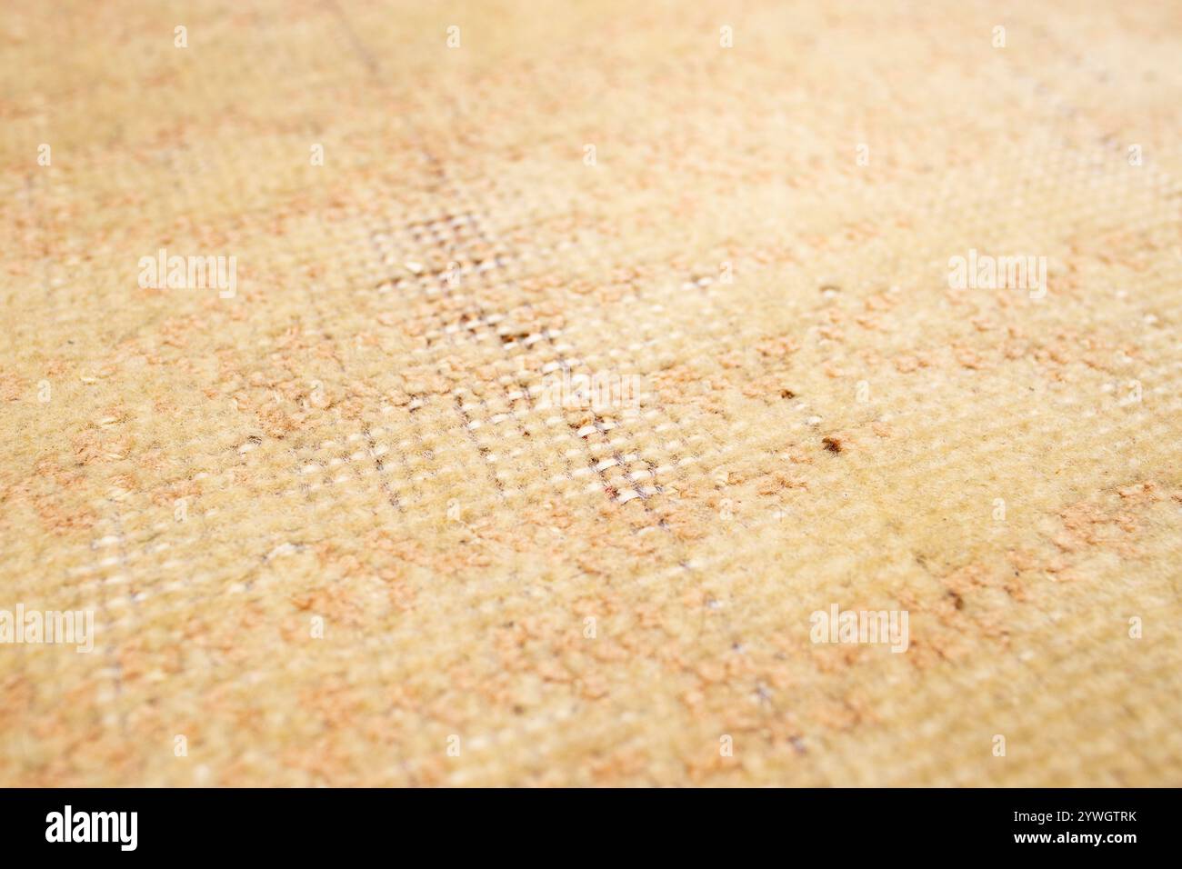 Moth infestation on a wool rug, soft focus Stock Photo - Alamy