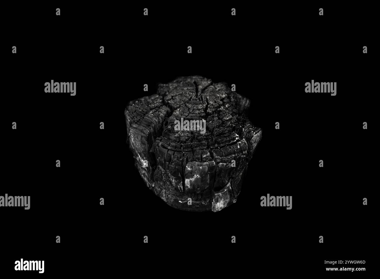 Burned tree cross section isolated on black background, side view Stock ...