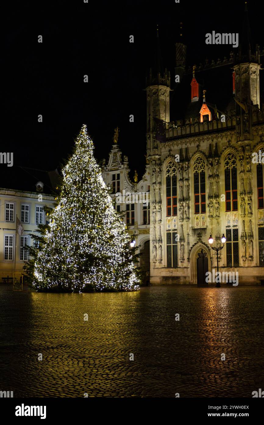 View of a giant Christmas tree decoration and an illuminated town hall ...