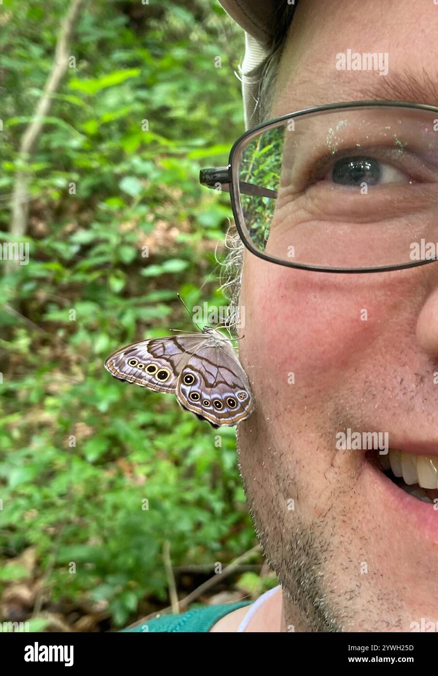 Lethe anthedon hi-res stock photography and images - Alamy