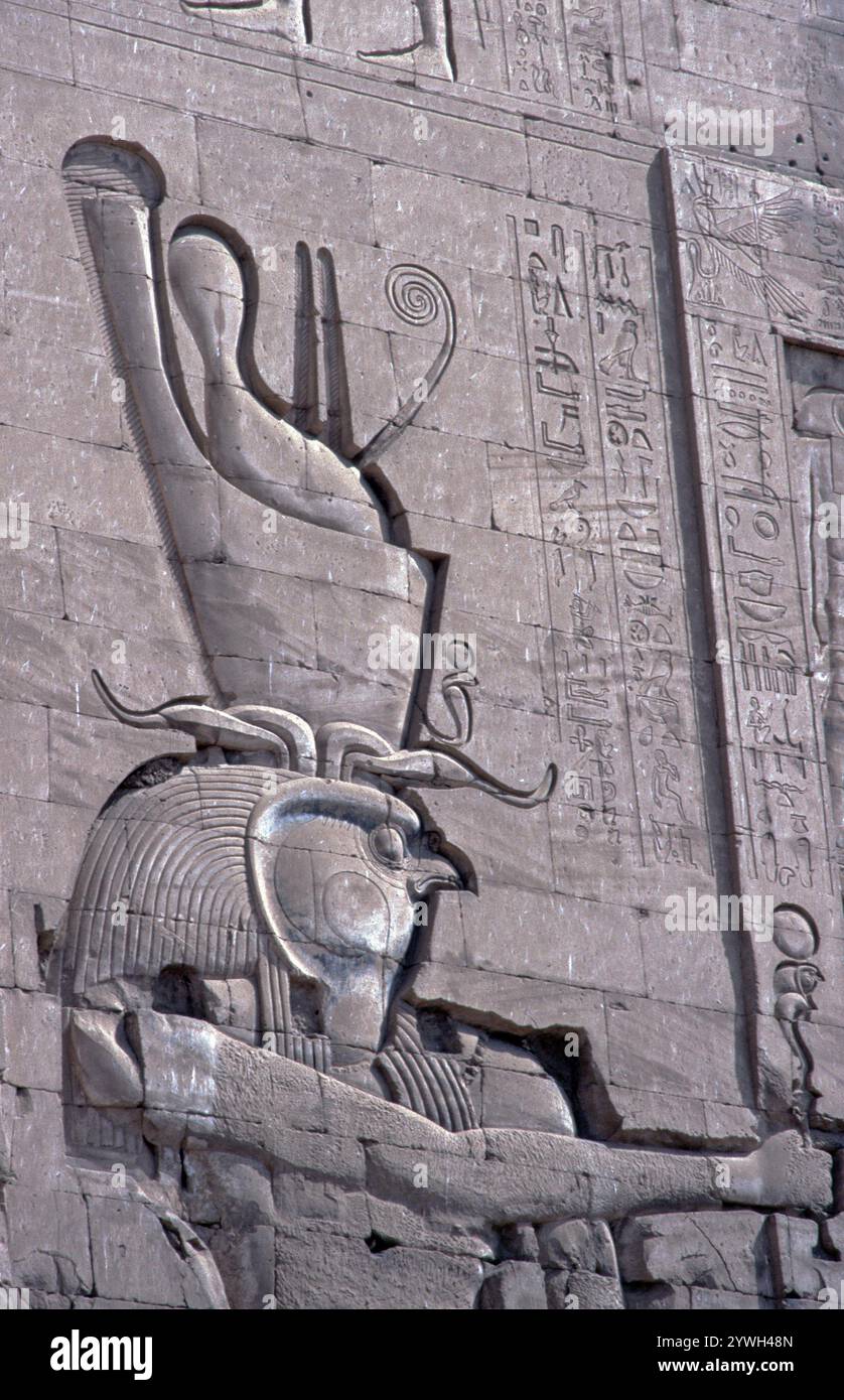 Detail from relief painting, head, Horus Temple, Edfu, Nile Valley ...