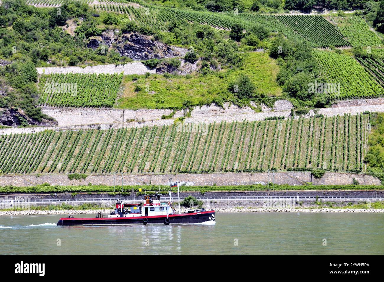 Vineyards near Assmannshausen, UNESCO World Heritage Cultural Landscape ...
