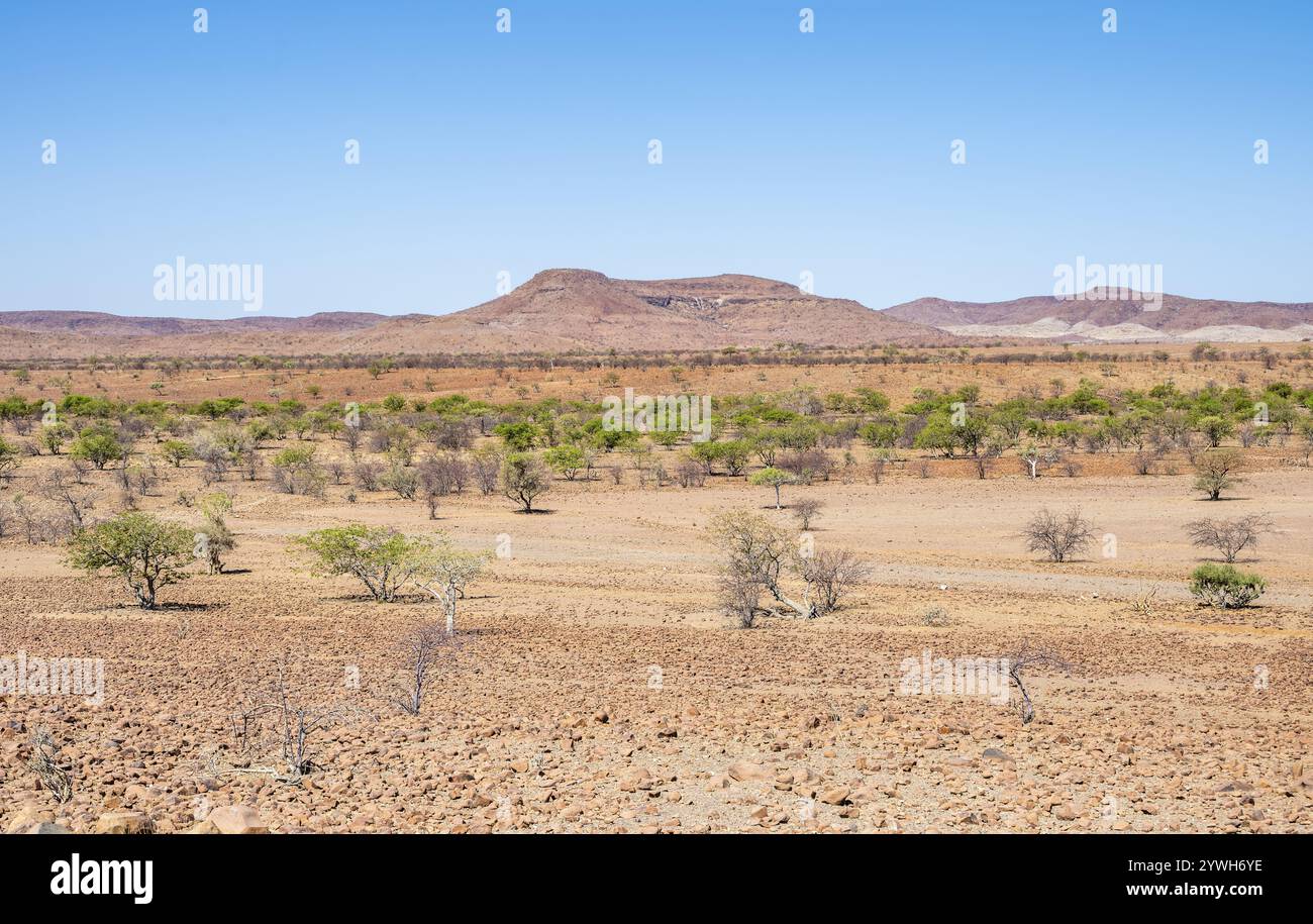 African savannah, dry desert landscape with table mountains, Damaraland ...