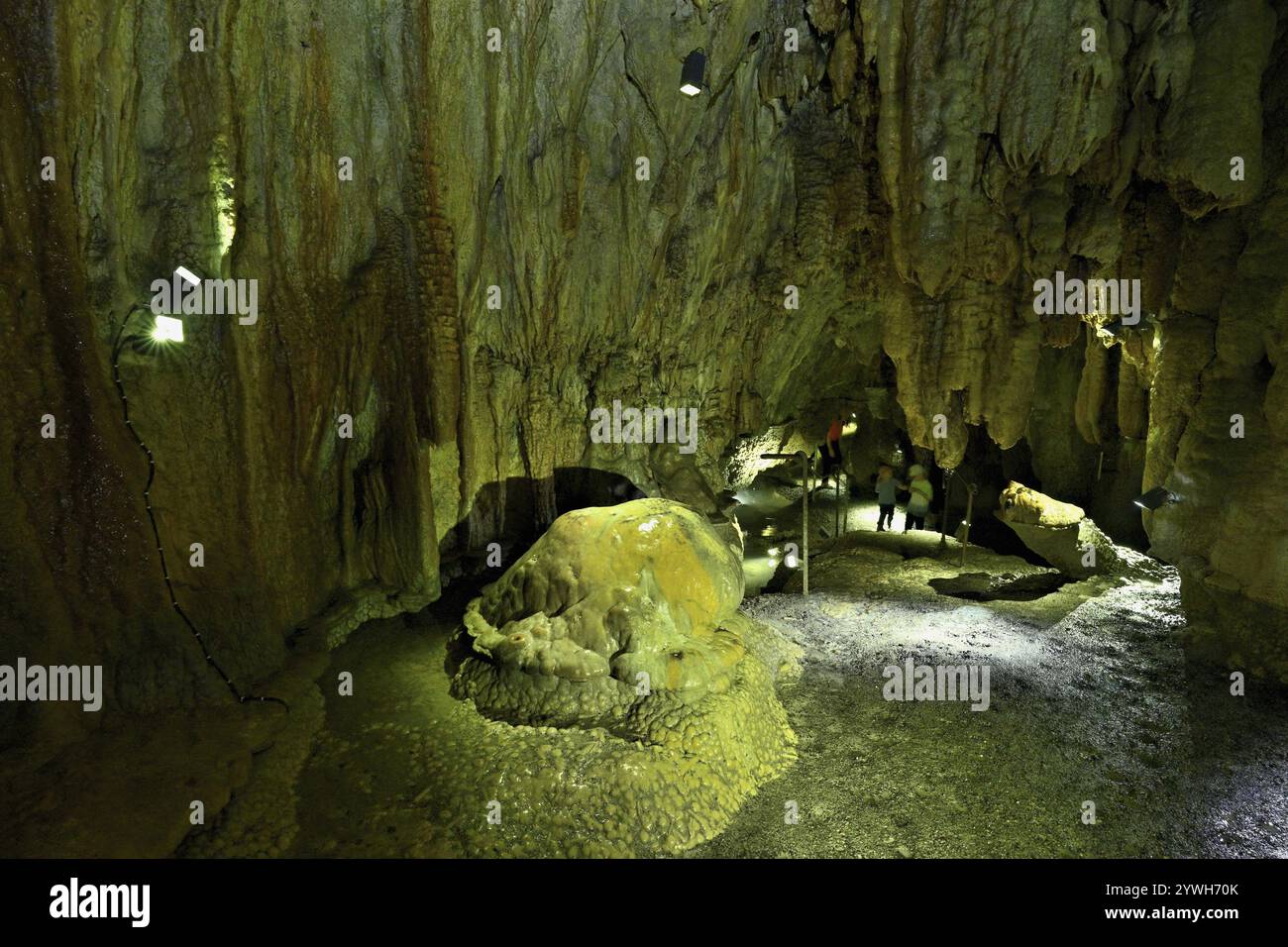 Arched turtle and crocodile, calcite formations, landmark of the grotto ...