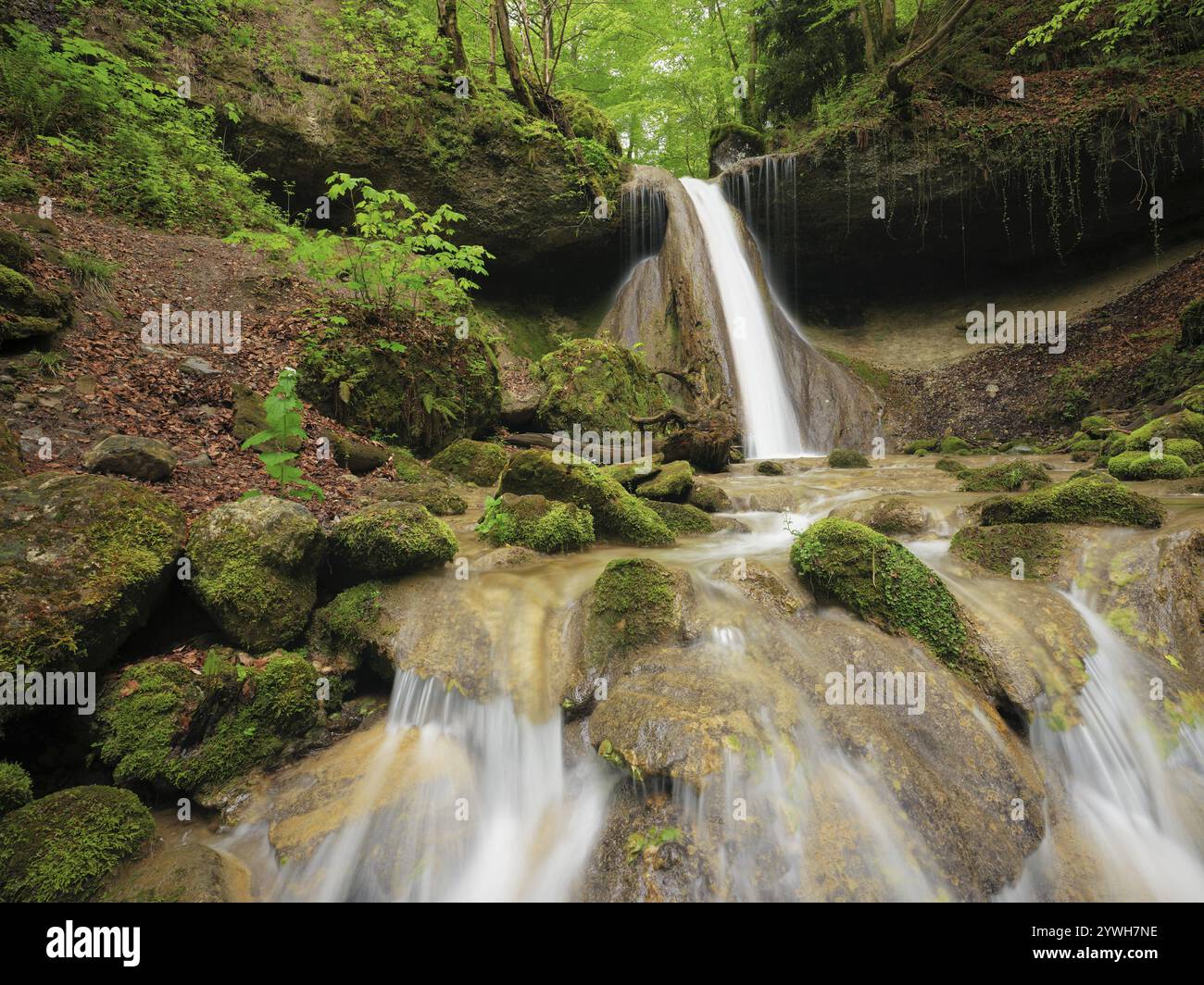 Schwarzenbach Waterfall, Baar, Canton Zug, Switzerland, Europe Stock ...