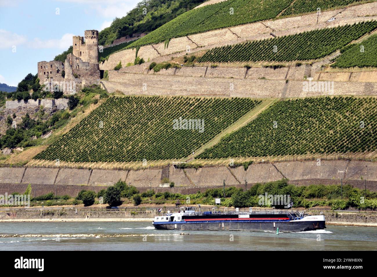 Ehrenfels castle ruins near Assmannshausen, UNESCO World Heritage ...