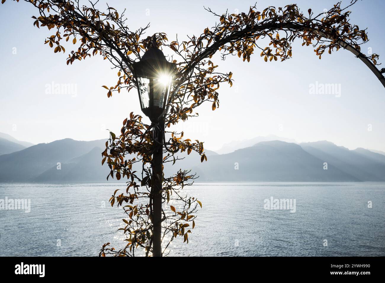 Lake promenade, morning mood, spring, Menaggio, Como province, Lake ...