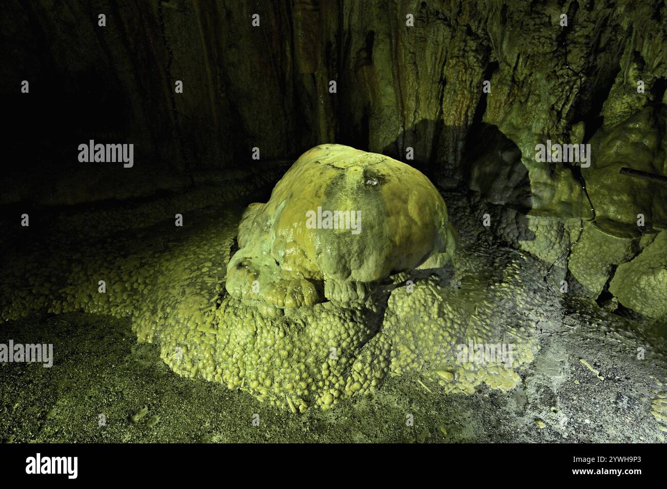 Arched turtle, calcite formation, landmark of the grotto, stalactite ...