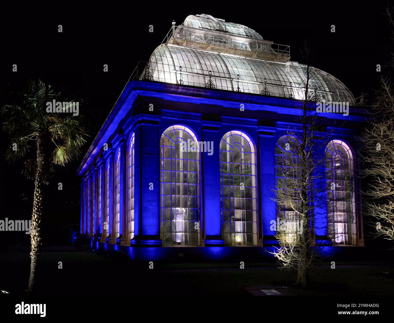 Victorian Garden At Night
