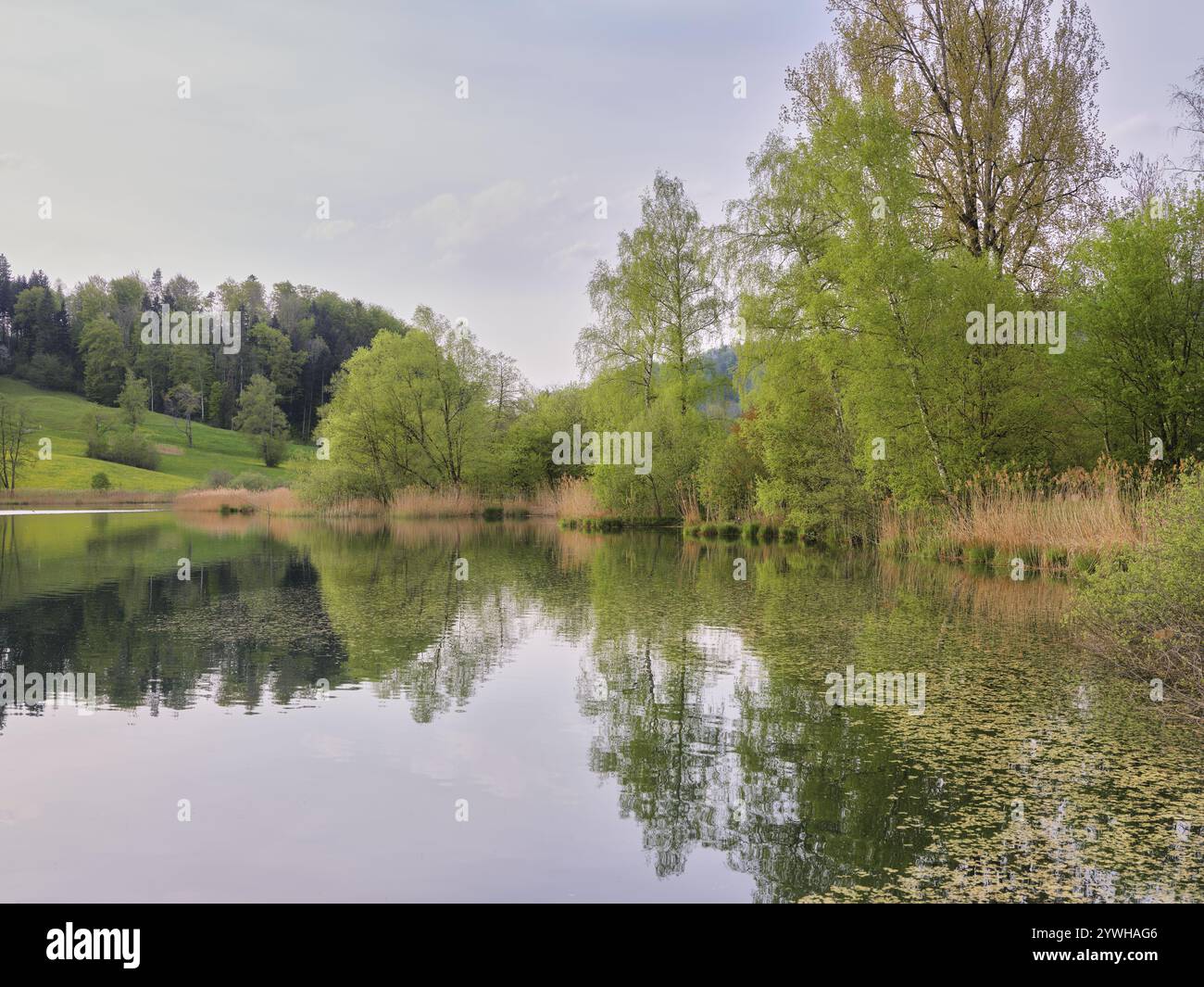 Tuerlersee hi-res stock photography and images - Alamy