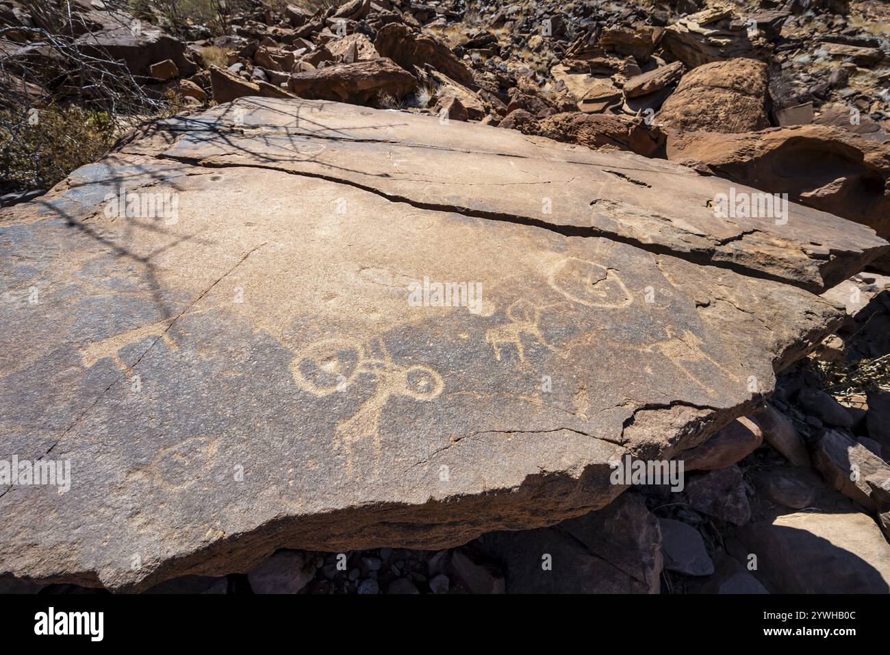 Depictions of animals and abstract forms on a rock slab, petroglyphs ...