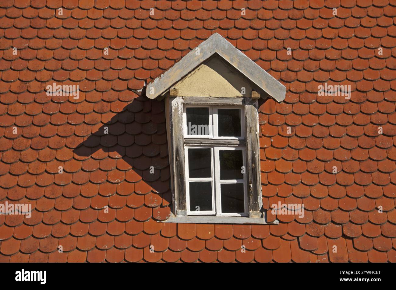 Dormer window, plain tile roof panels, Germany, Europe Stock Photo - Alamy