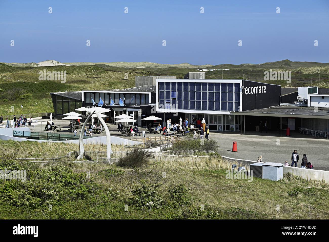 North Sea Museum and Ecomare seal sanctuary on Texel, Netherlands Stock ...