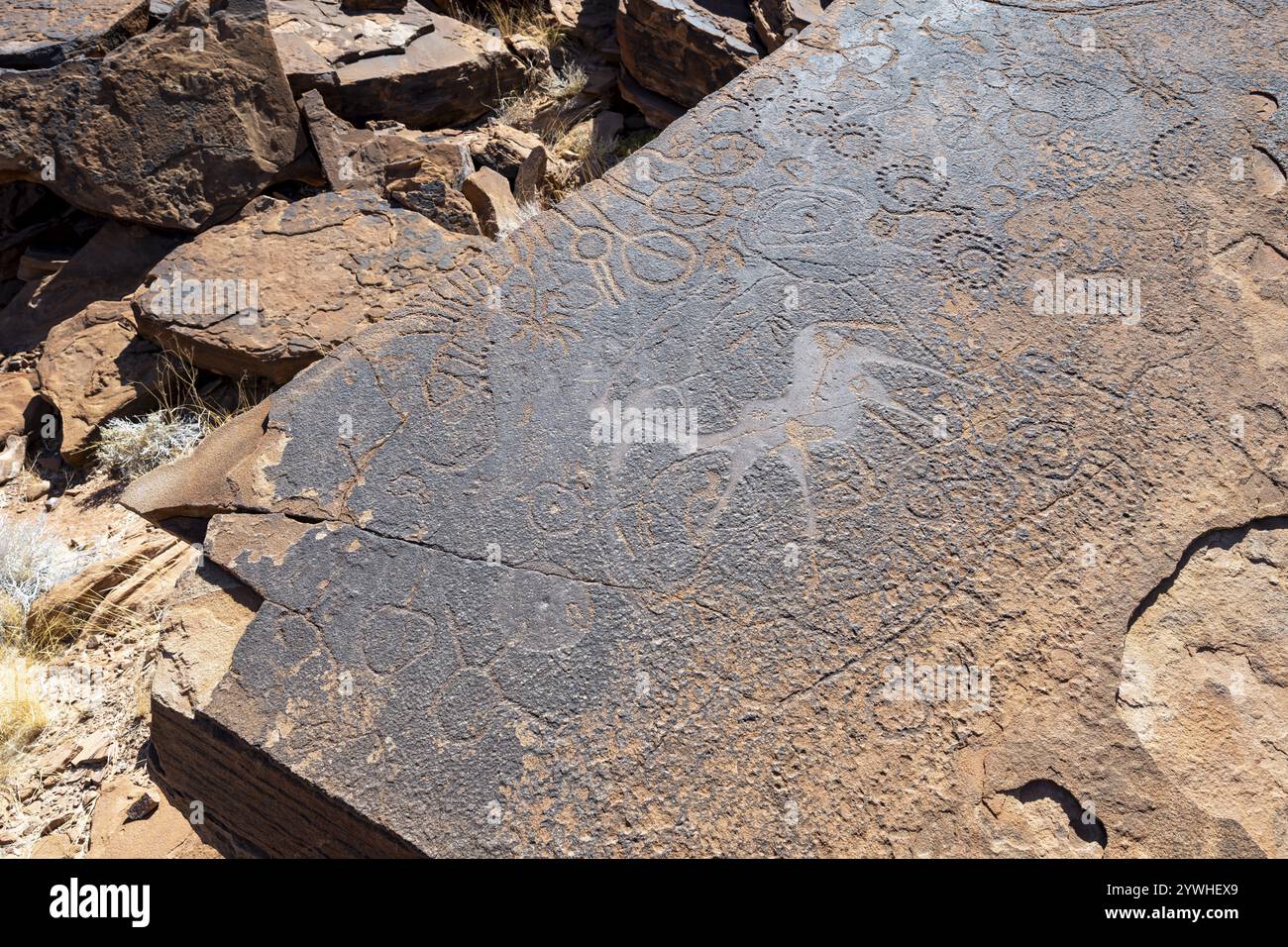 Depictions of animals on a rock slab, petroglyphs, rock engravings ...