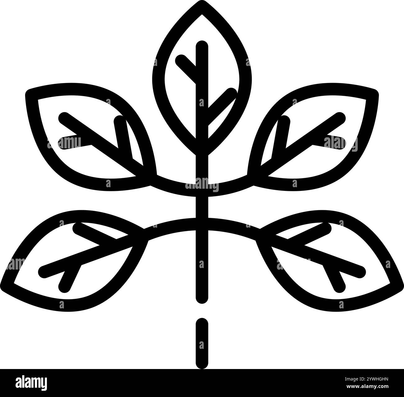 Branch with leaves line icon. Botanical outline vector sign. Plant ...