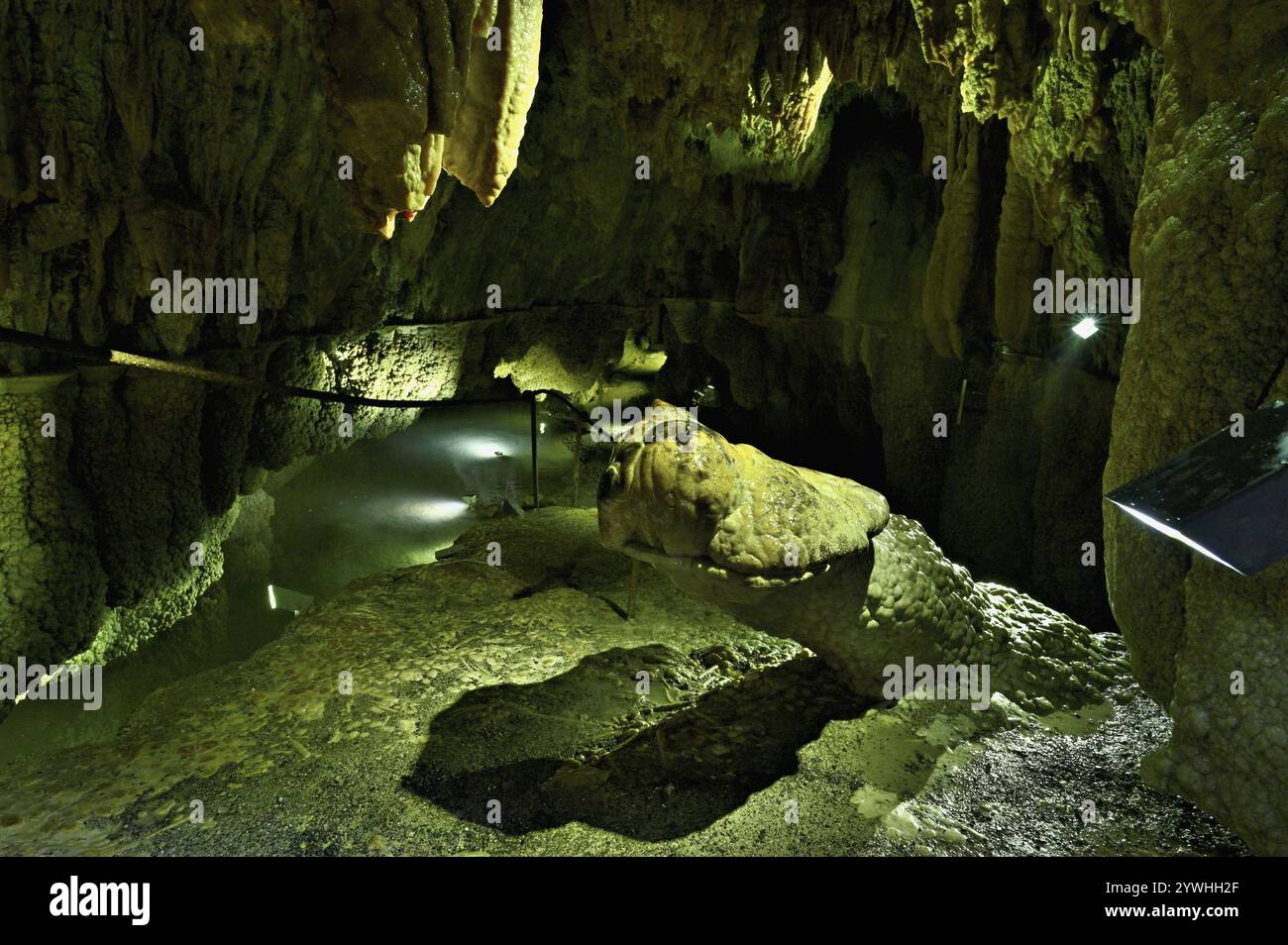 Crocodile, calcite formation, landmark of the cave, stalactite cave ...
