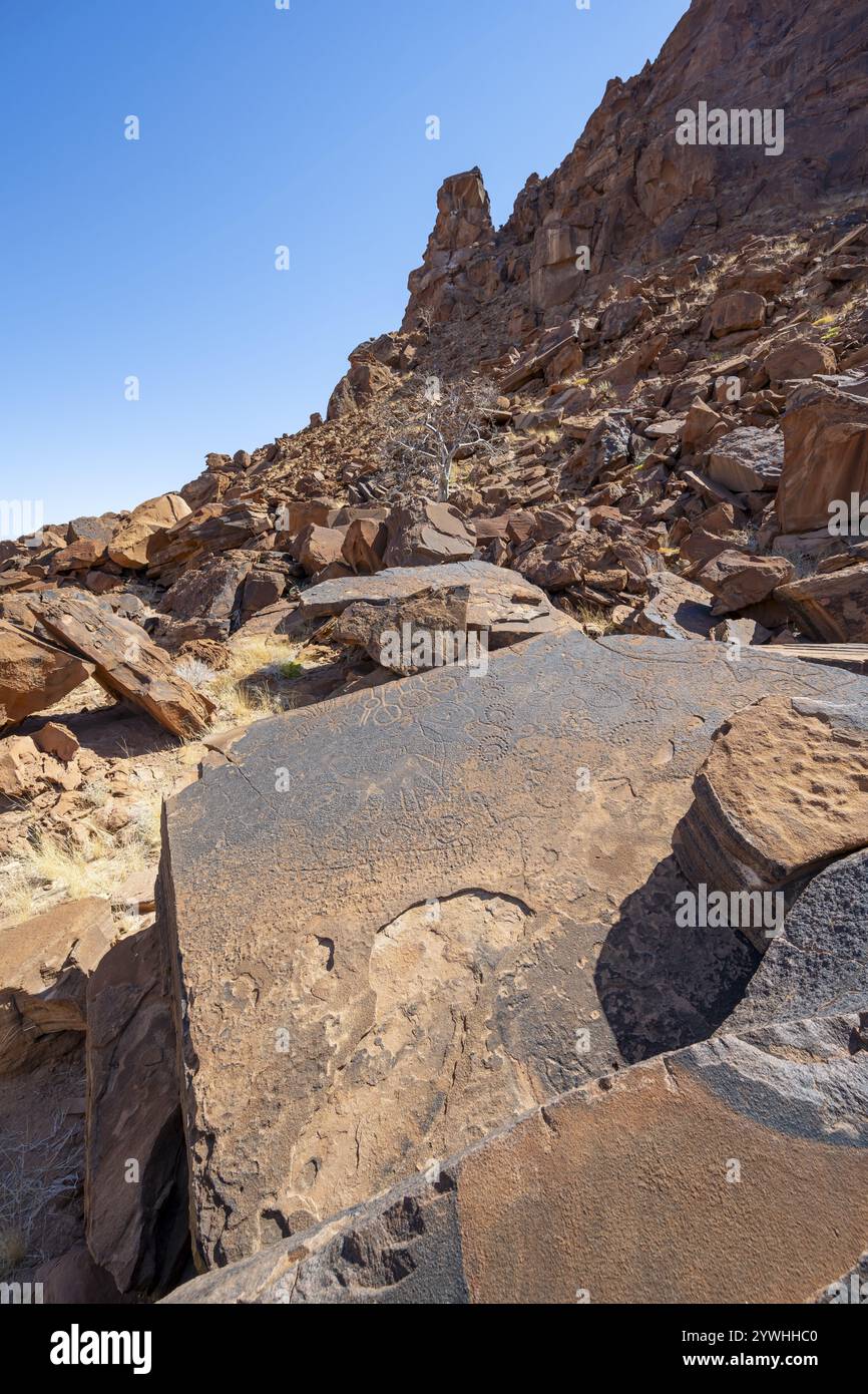 Depictions of animals on a rock slab, petroglyphs, rock engravings ...