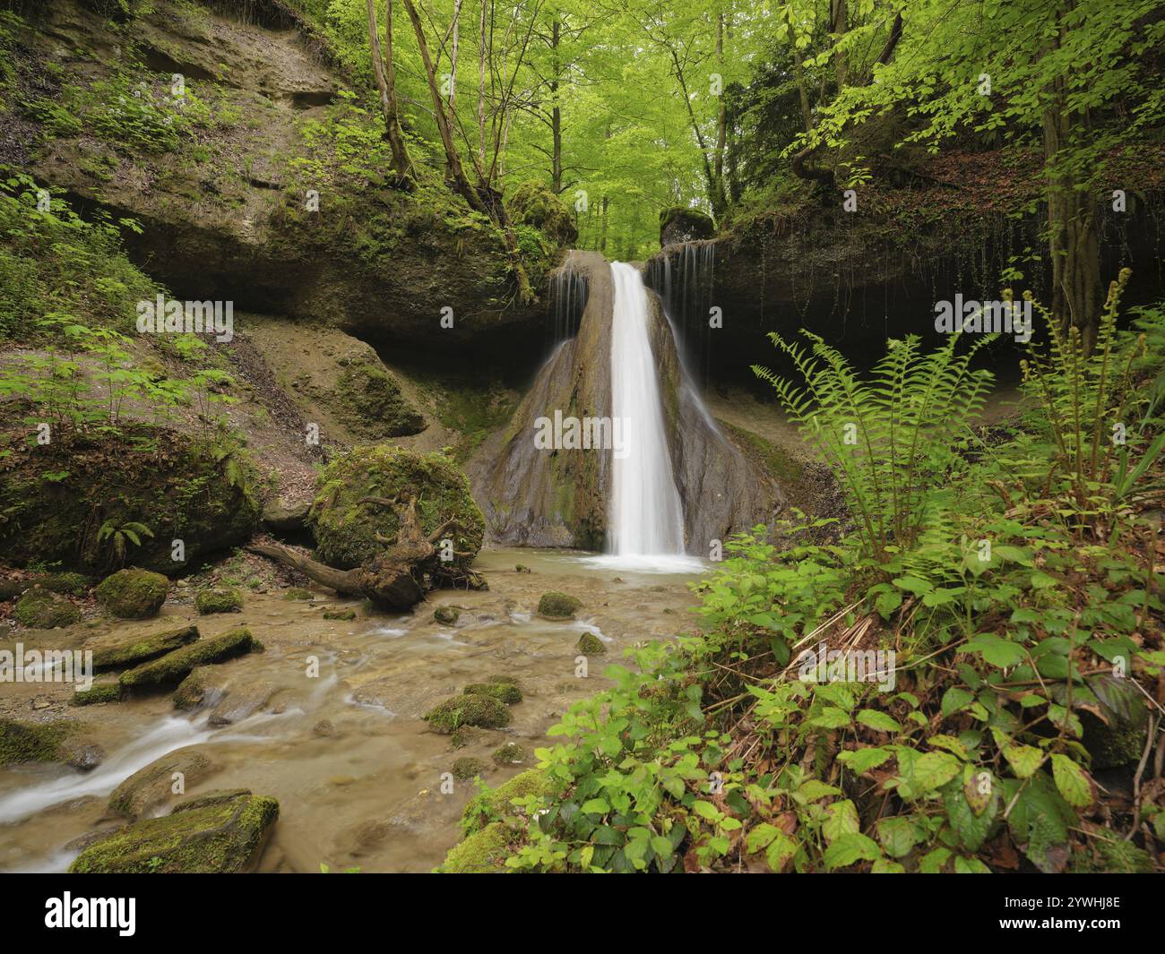Schwarzenbach Waterfall, Baar, Canton Zug, Switzerland, Europe Stock ...