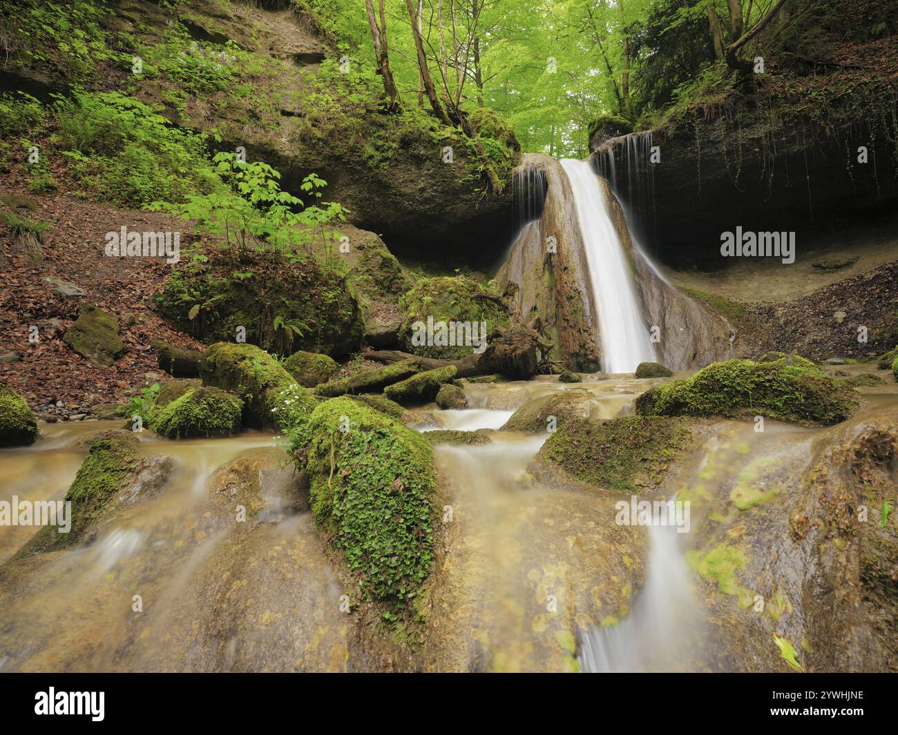 Schwarzenbach Waterfall, Baar, Canton Zug, Switzerland, Europe Stock ...