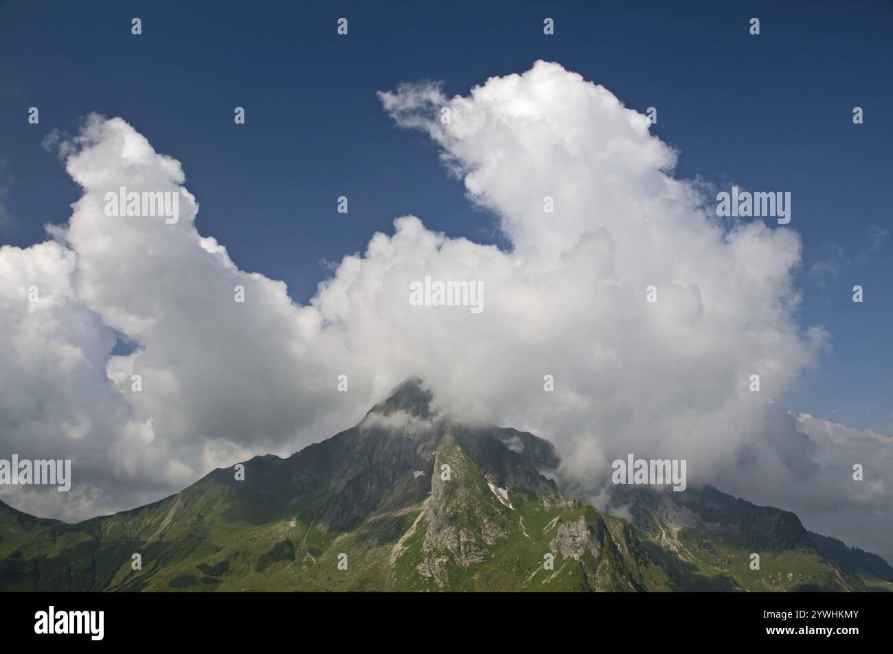 Database annotation hi-res stock photography and images - Alamy
