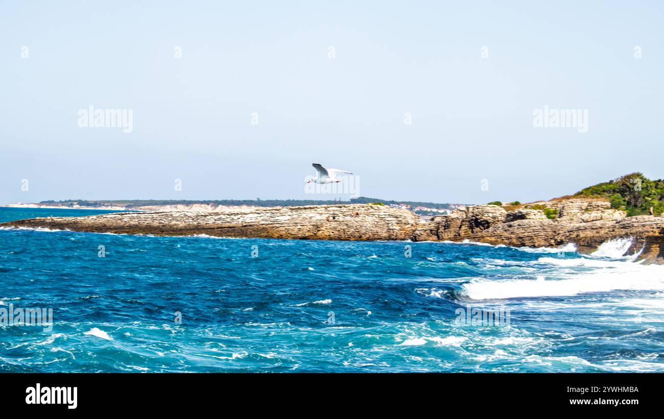 A seagull gracefully flies over the turbulent sea, with waves crashing ...