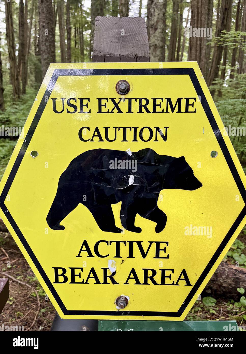 Active bear area hi-res stock photography and images - Alamy