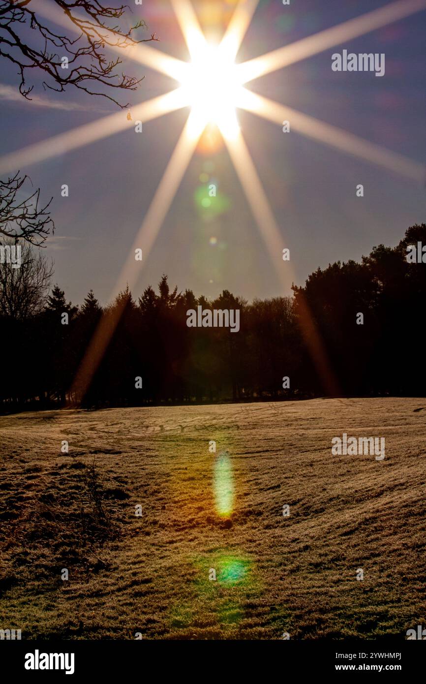 Dundee, Tayside, Scotland, UK. 11th Dec, 2024. UK Weather: Beautiful ...