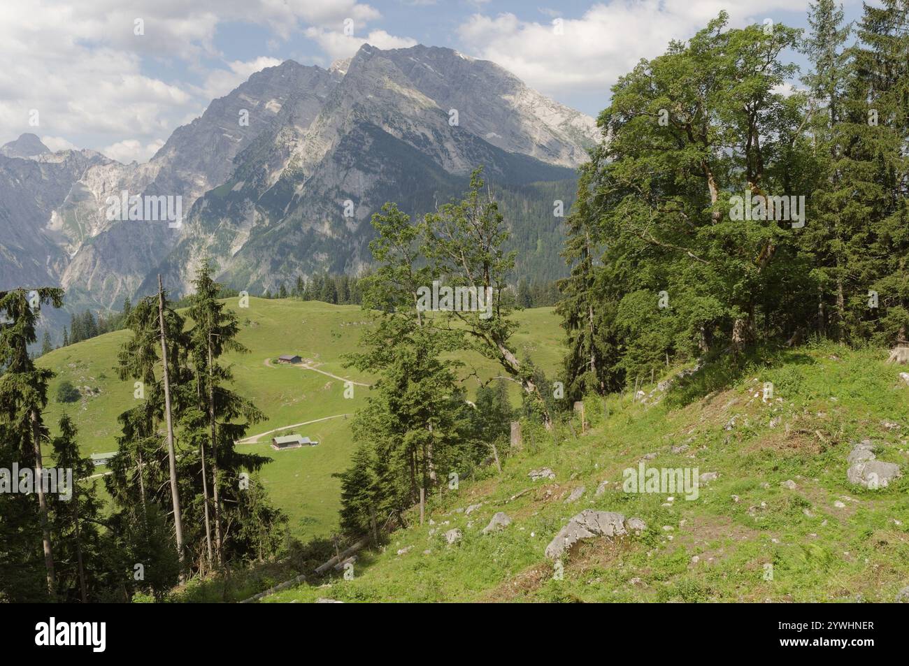View of the Watzmann east face, Watzmann, Berchtesgaden, Berchtesgaden ...