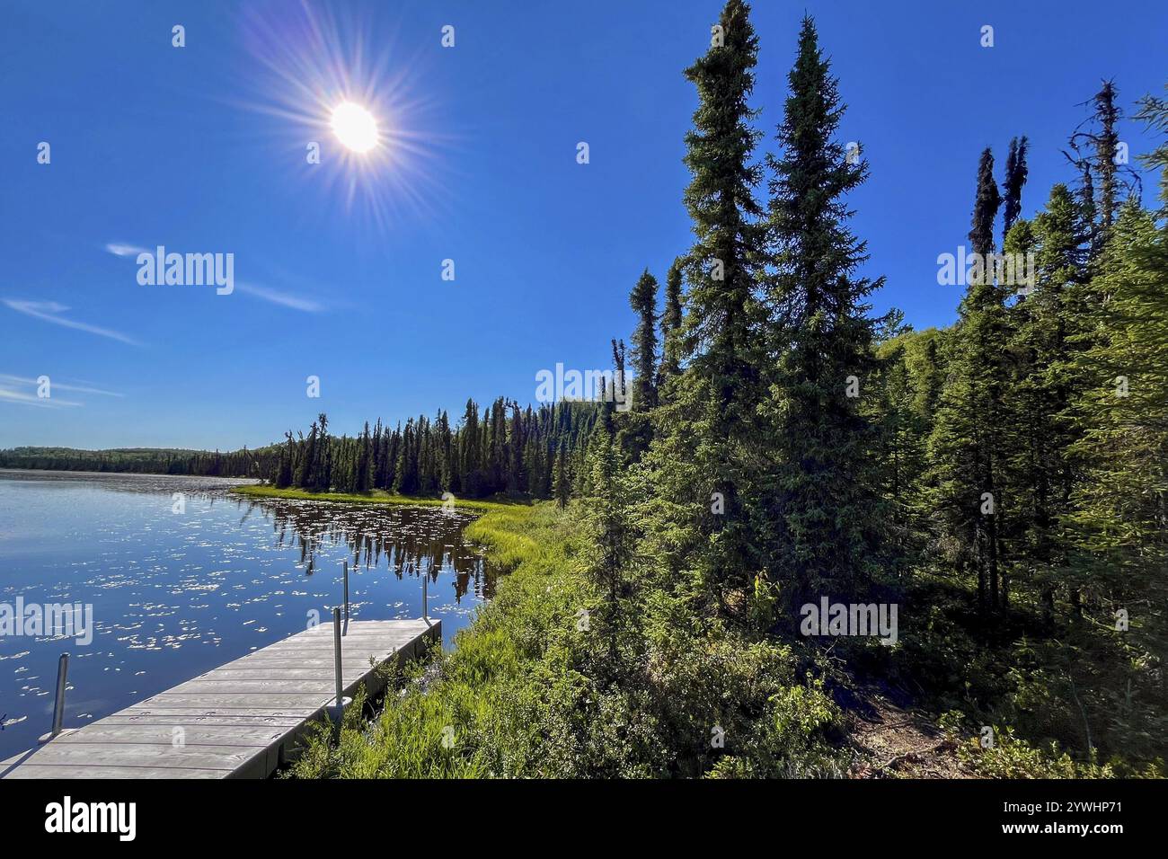 A calm lake with a jetty, surrounded by dense forests under a bright ...