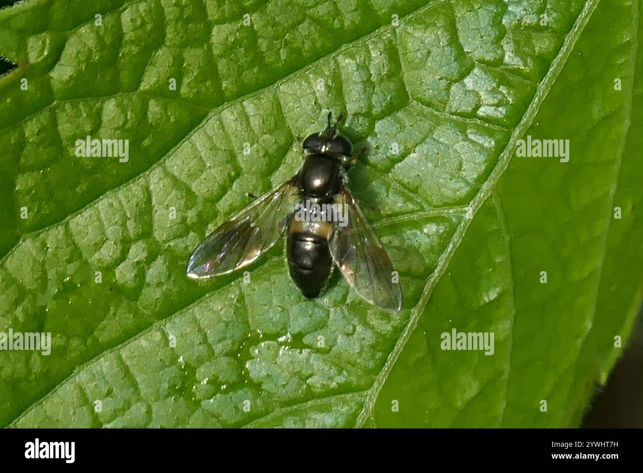 Pitheads hi-res stock photography and images - Alamy