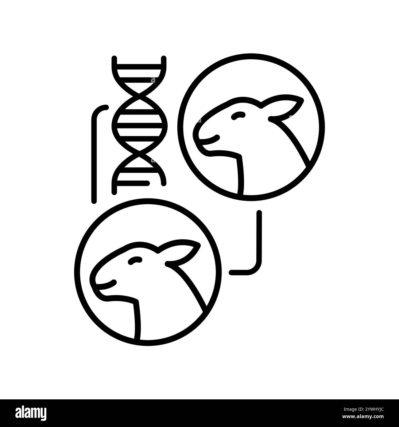 Cloning controversy Black and White Stock Photos & Images - Alamy Cloning controversy Black and White Stock Photos & Images - Alamy