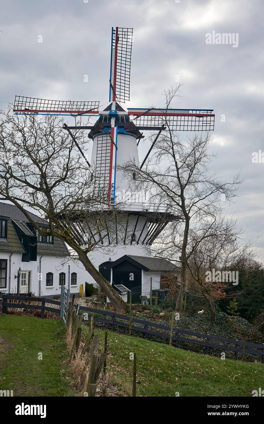 The historic windmill De Vlinder in Deil, Netherlands, surrounded by ...