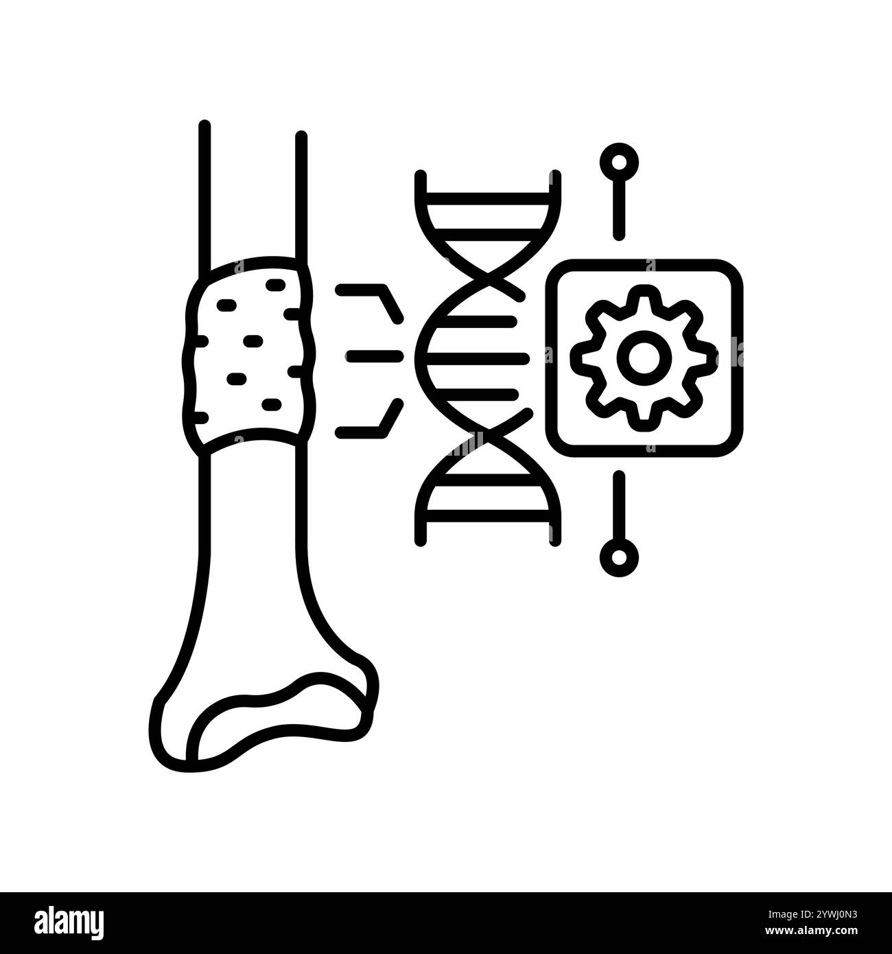 Biomedical engineering Cut Out Stock Images & Pictures - Alamy