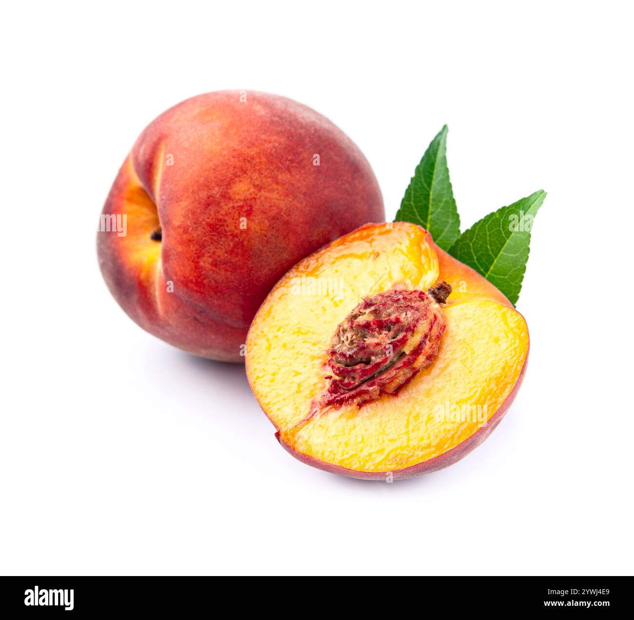 Peaches leaves on white hi-res stock photography and images - Alamy