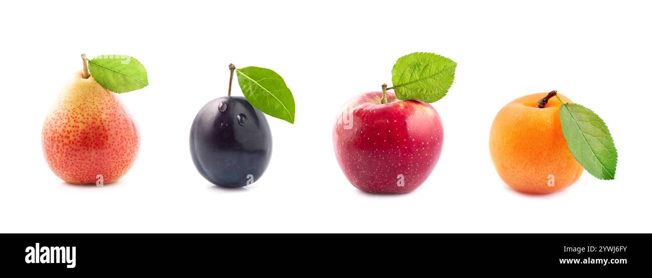 Sweet single fruits on white backgrounds. Apple, plum , apricot and ...
