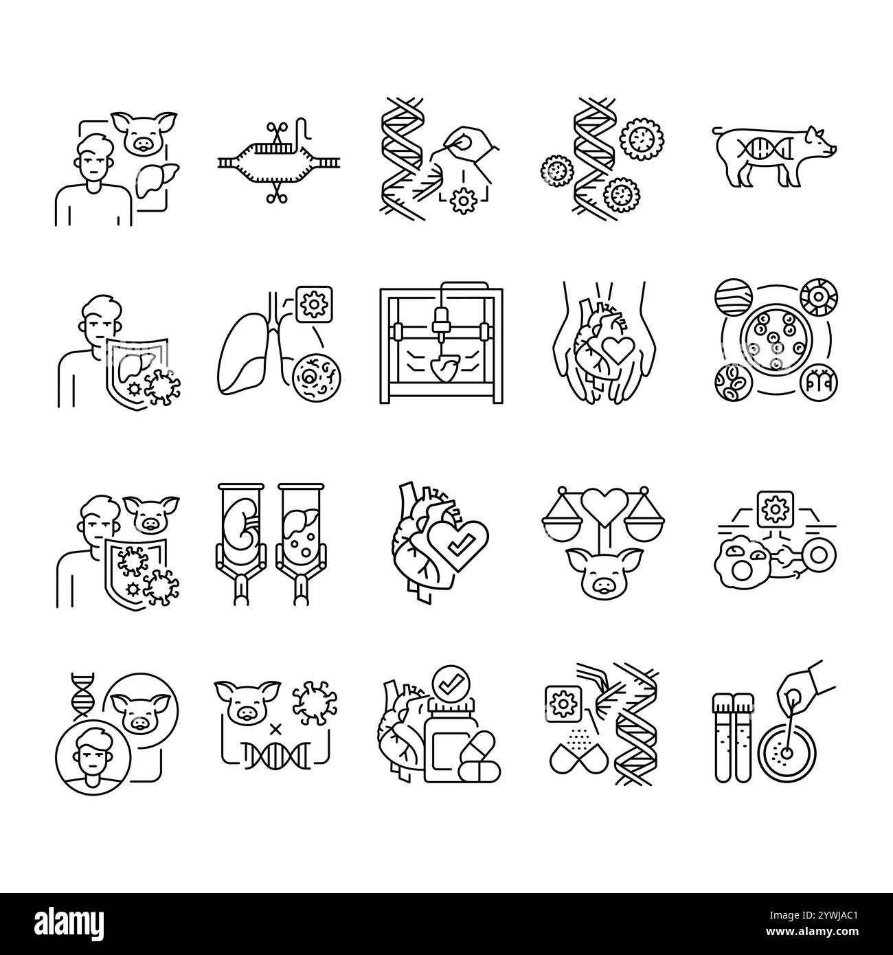 Genetically modified organs for transplantation black line icons set. Vector isolated element ...