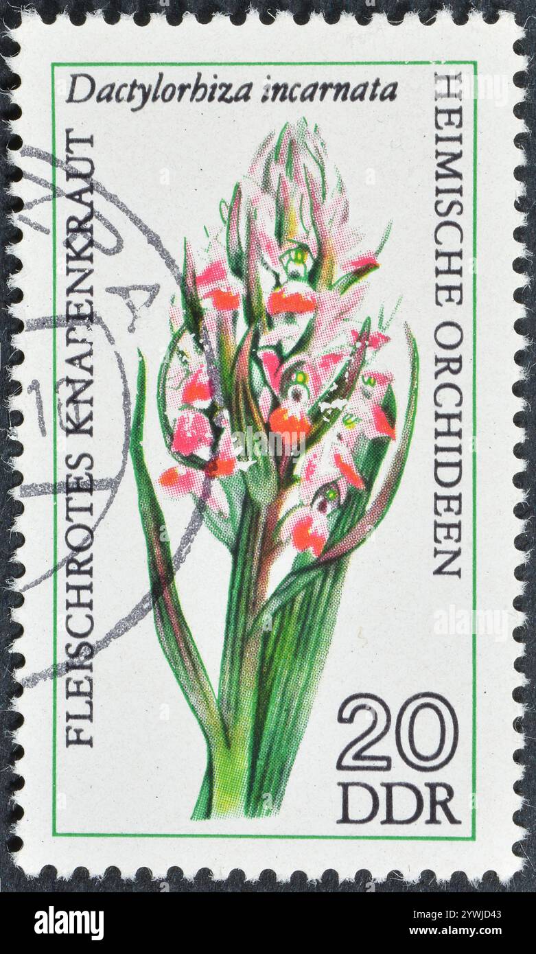 Cancelled postage stamp printed by German Democratic Republic, that ...