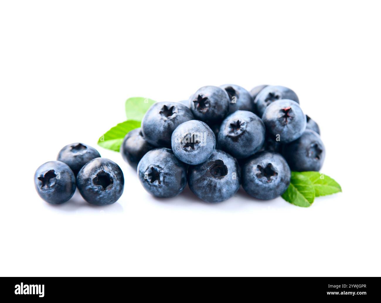 Sweet blueberries leaves on hi-res stock photography and images - Alamy