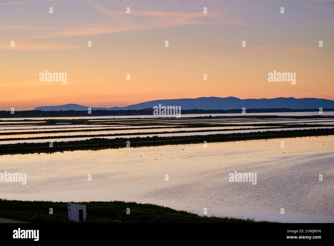 Rice fields in the Sado Estuary Nature Reserve. Comporta, Alentejo ...