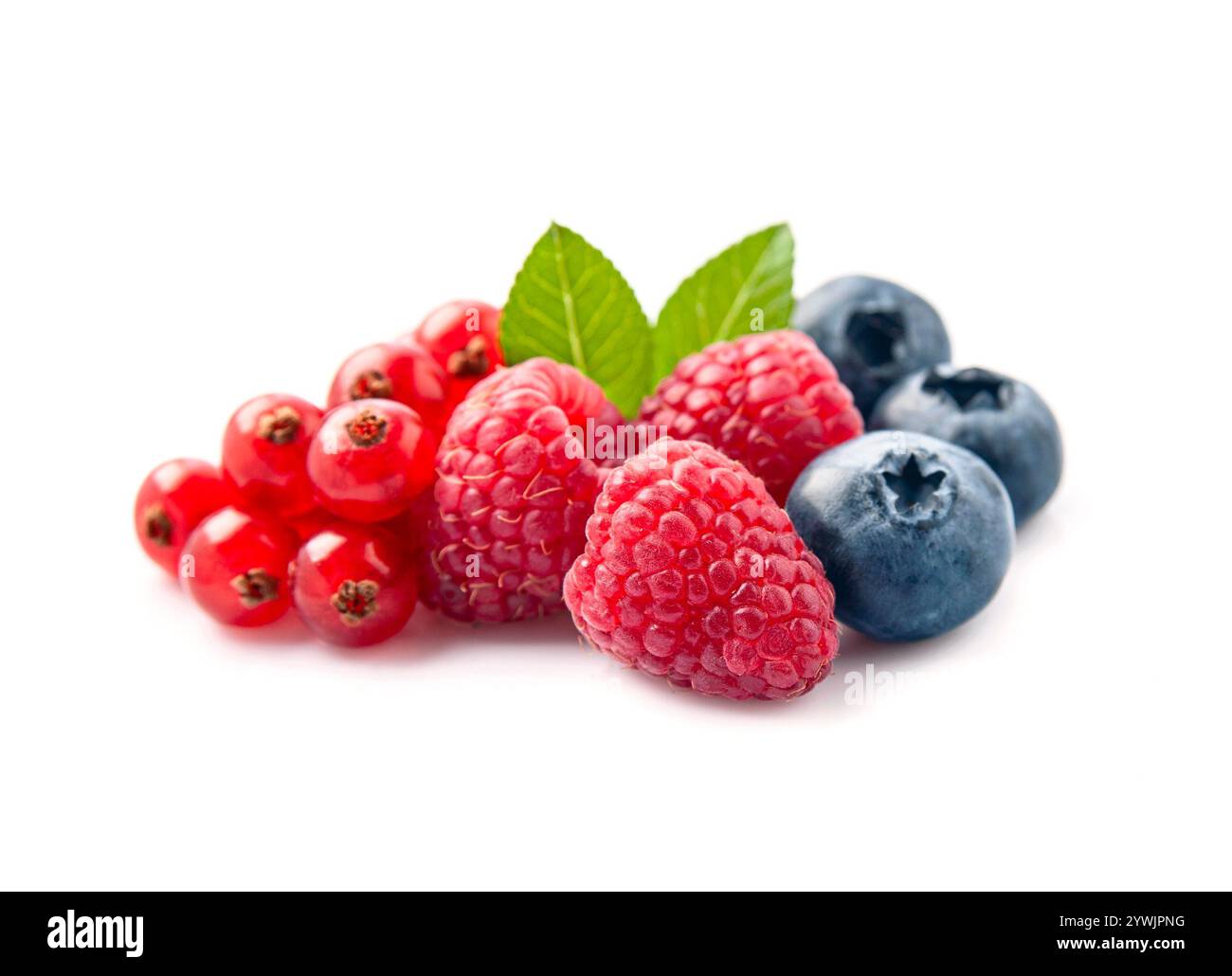 Sweet berries on white backgrounds Stock Photo - Alamy
