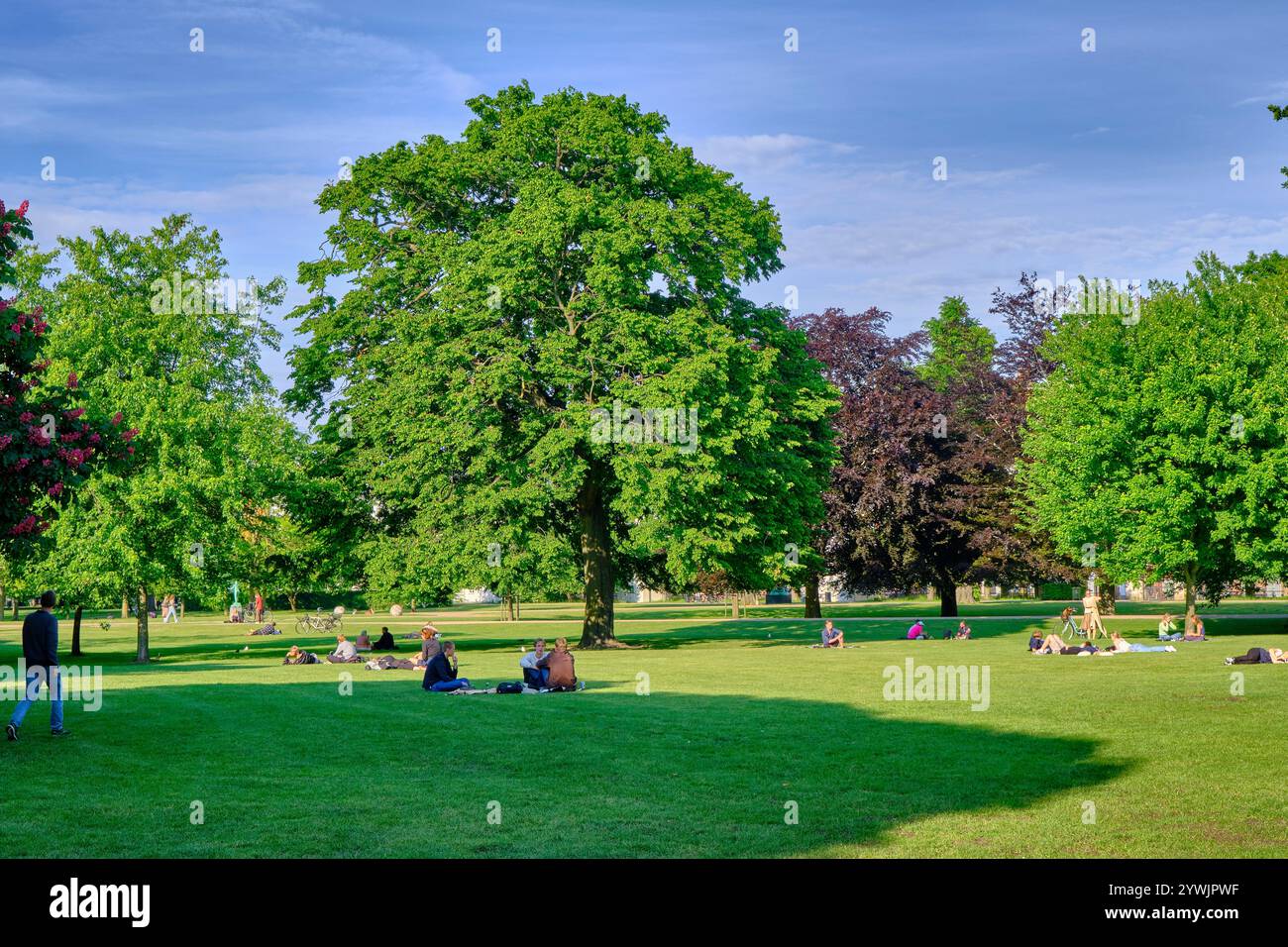 The King's Garden (Kongens Have). Copenhagen, Denmark Stock Photo - Alamy
