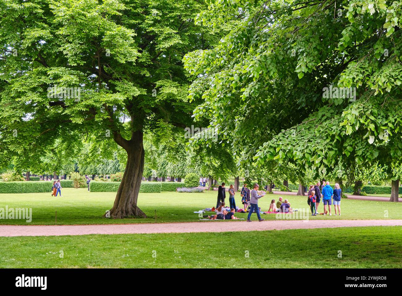 The King's Garden (Kongens Have). Copenhagen, Denmark Stock Photo - Alamy