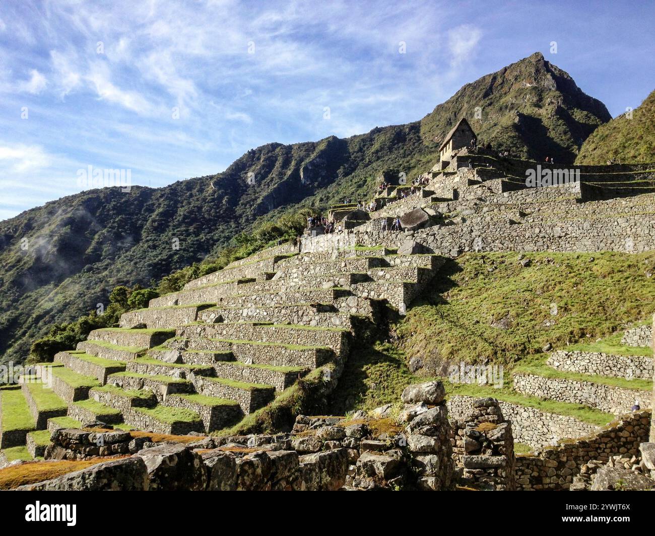 View of ruined Inca city, Machu Picchu, Andes, Peru, South America ...