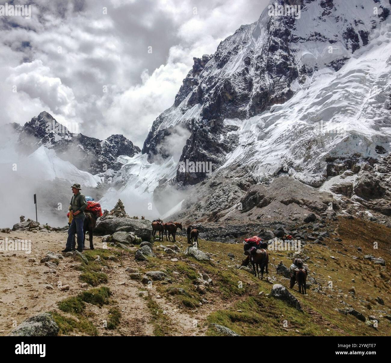 Pack horses at Salkantay mountain pass trekking route, Andes, Peru ...