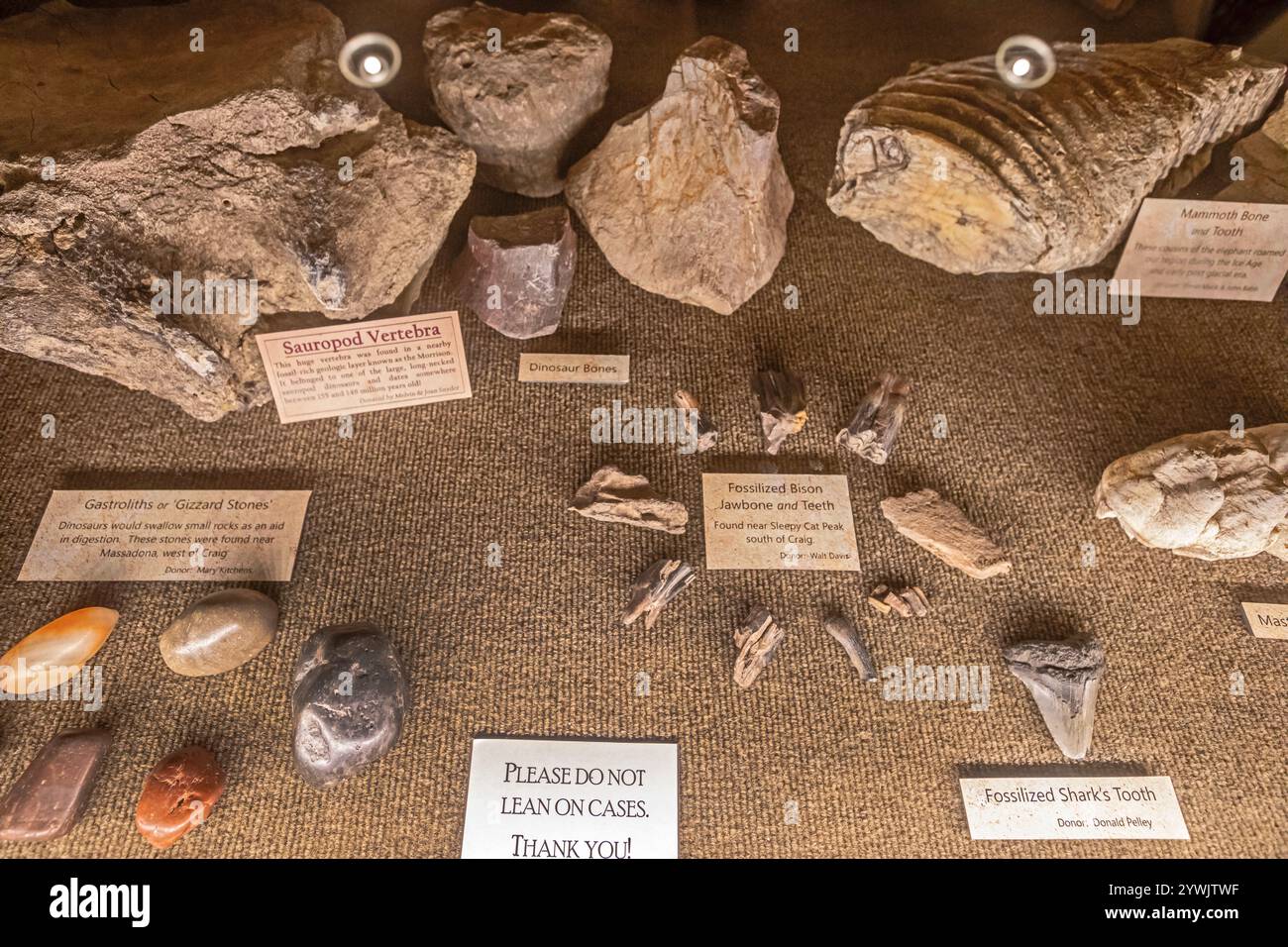 Old Artifacts Found Locally