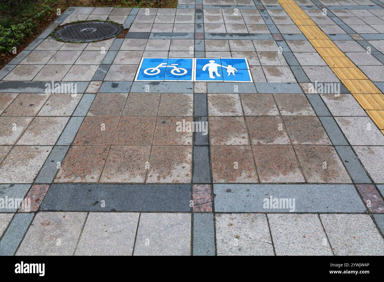 Bicycle and pedestrian shared sidewalk in a city street in Seoul, South ...